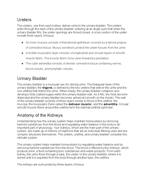 [Solved] Solve the equation 5 t minus 8 equals 3 t minus 2 Question ...