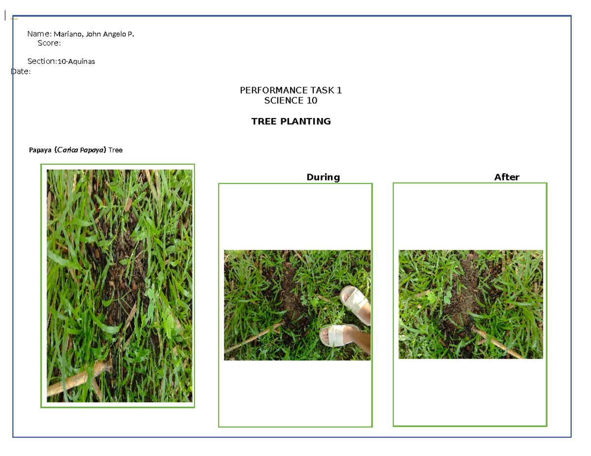 Performance Task 1 Tree Planting Quarter 2 - Practical Research - Name ...