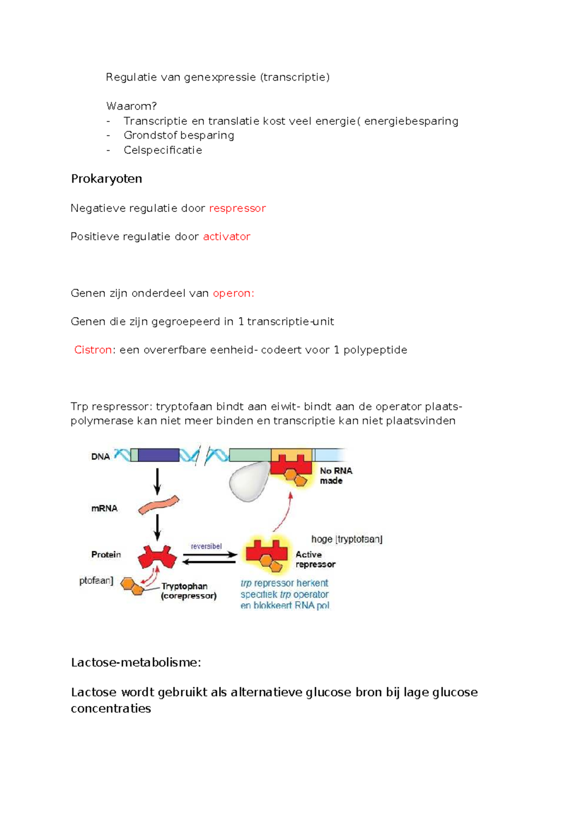Regulatie van Genexpressie: Transcriptie en Translatie in Prokaryoten ...