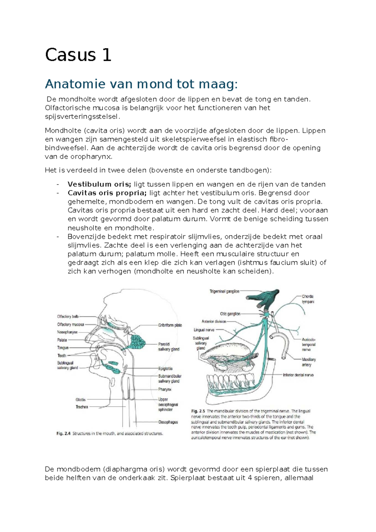 Casus 5.1: Anatomie en Fysiologie van Mond, Maag en Oesophagus ...