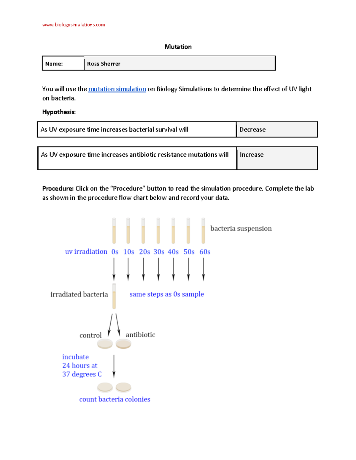Mutation Simulation Lab Report: Effect of UV Light on Bacterial ...