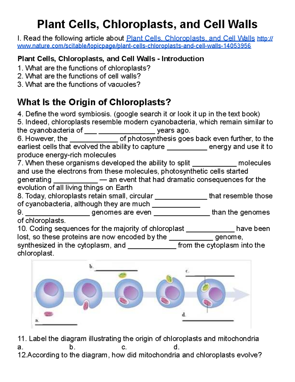Plant Cells, Chloroplasts, and Cell Walls: A Comprehensive Overview ...