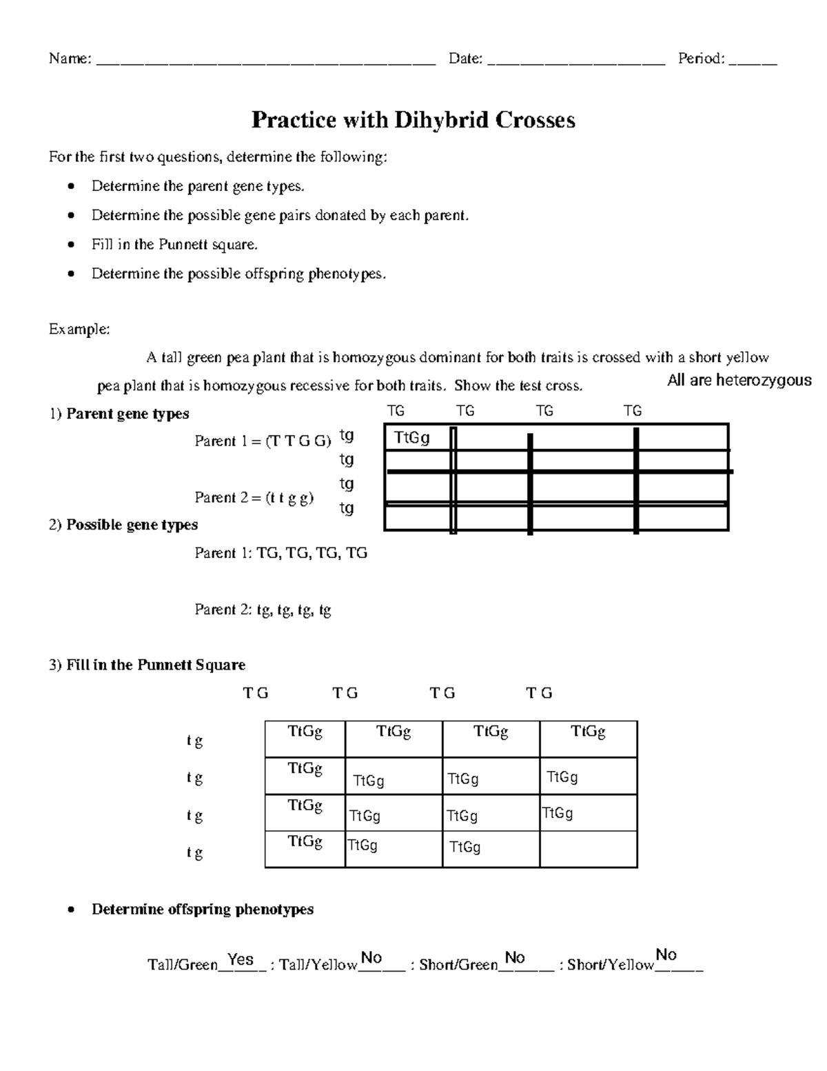Dihybrid Cross Practice with answers - Name ...