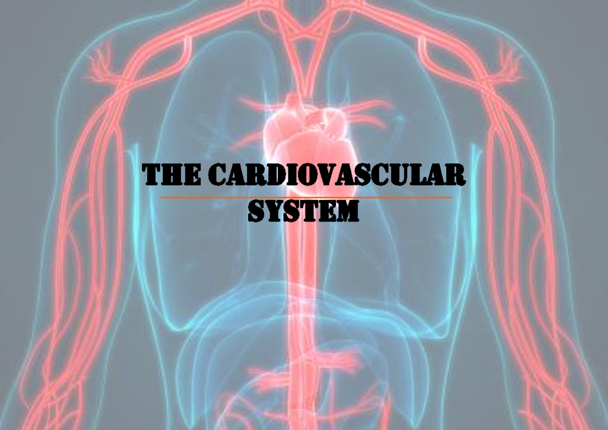 Cardiovascular System - lab - The Cardiovascular System The ...