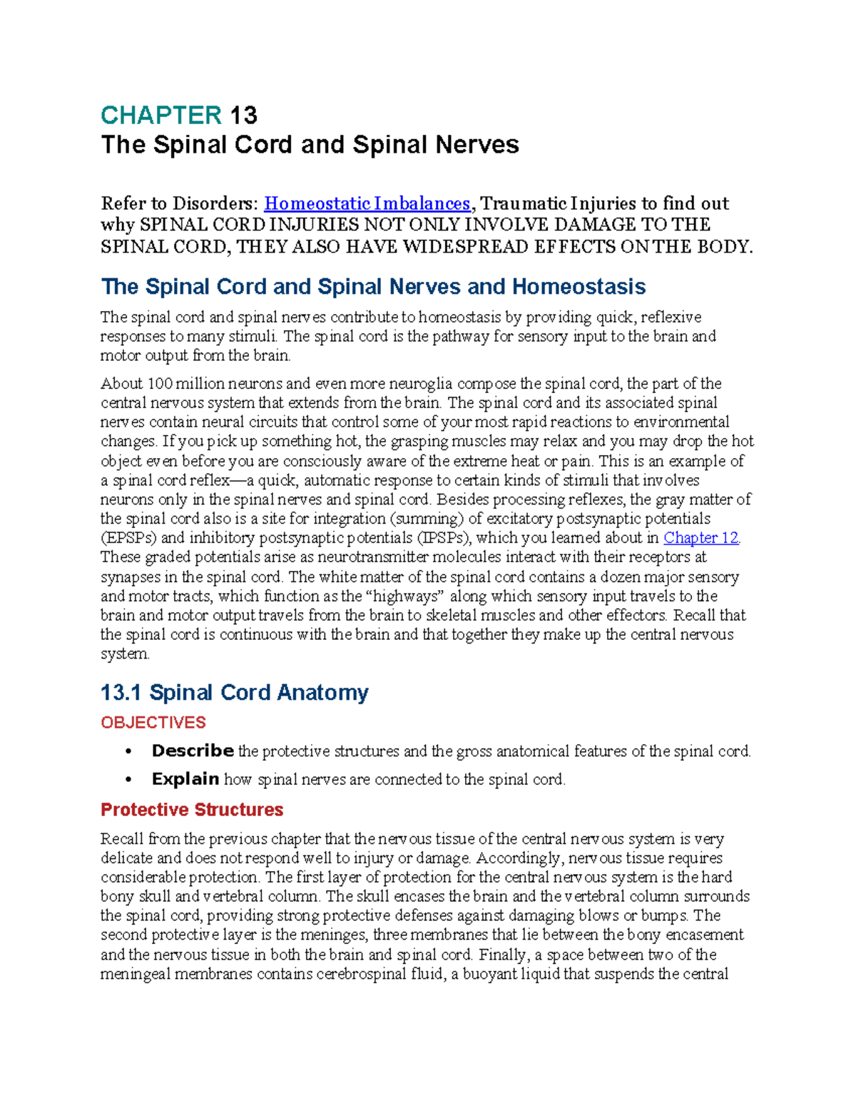 Brain and spine - notes - CHAPTER 13 The Spinal Cord and Spinal Nerves ...