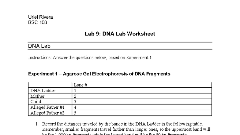 BSC 108 Lab 9: DNA Electrophoresis Worksheet and Analysis - Studocu