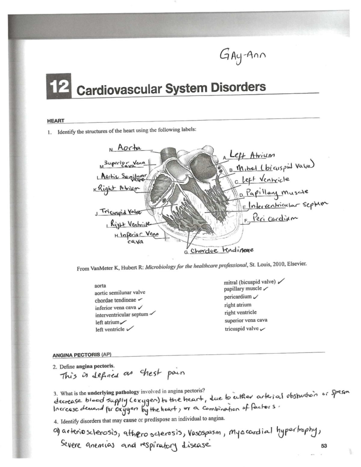 Cardiovascular System Disorders: Overview and Angina Pectoris Insights ...