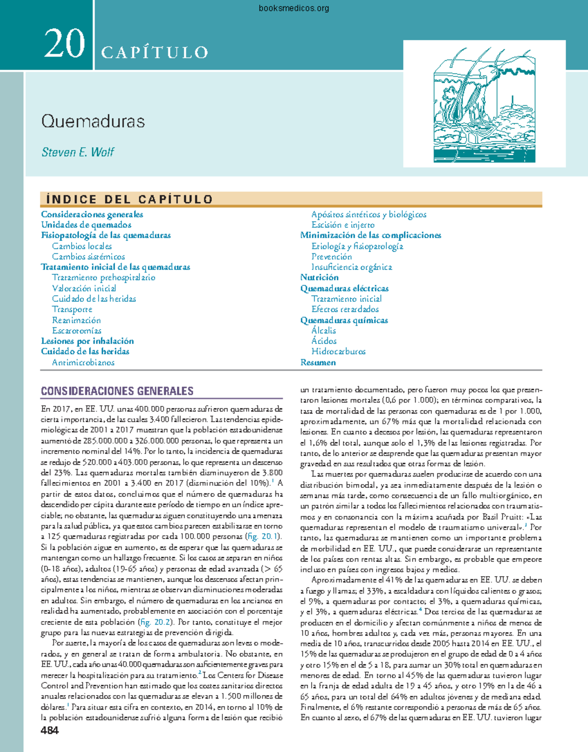 Quemaduras - Cirugías de sabiston - 484 C A P Í T U L O © 2022 ...