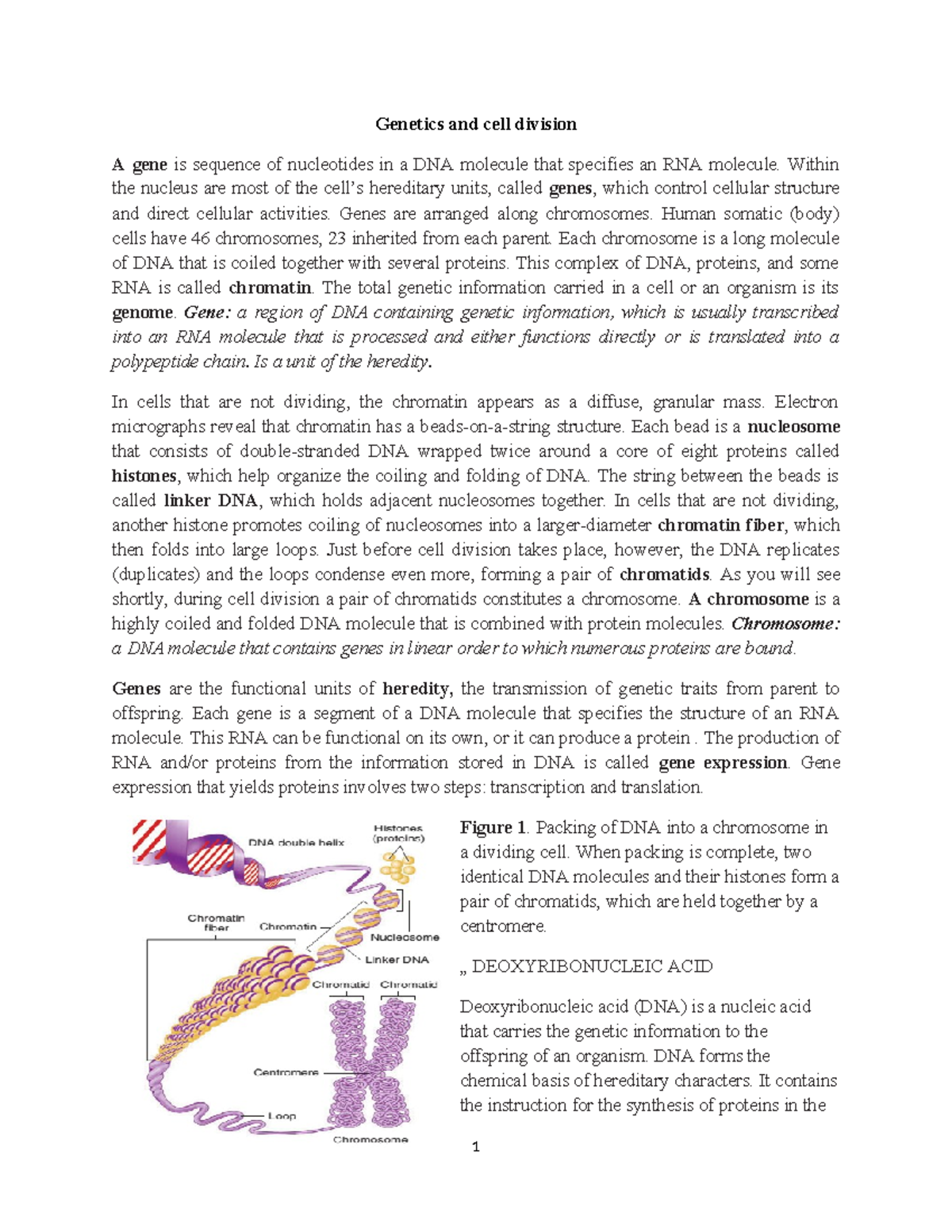 Genetics and cell division - Within the nucleus are most of the cell’s ...