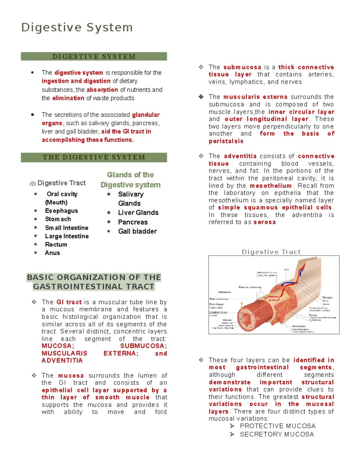 Digestive System - lecture - Digestive System D I G E S T I V E S Y S T ...
