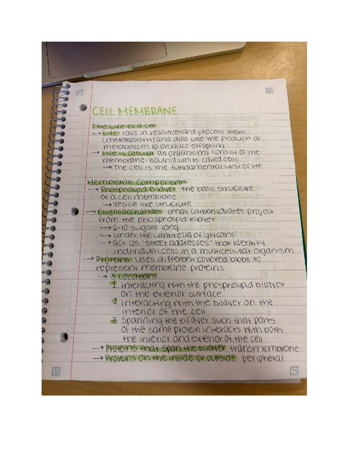 Bio 101 - Unit 2: Cell Membrane Structure & Function Study Guide - Studocu