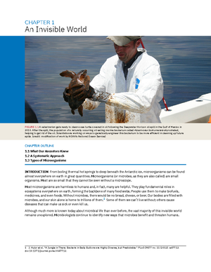 Graphing Functions and Analyzing Slopes: Class Notes - Name: Date ...