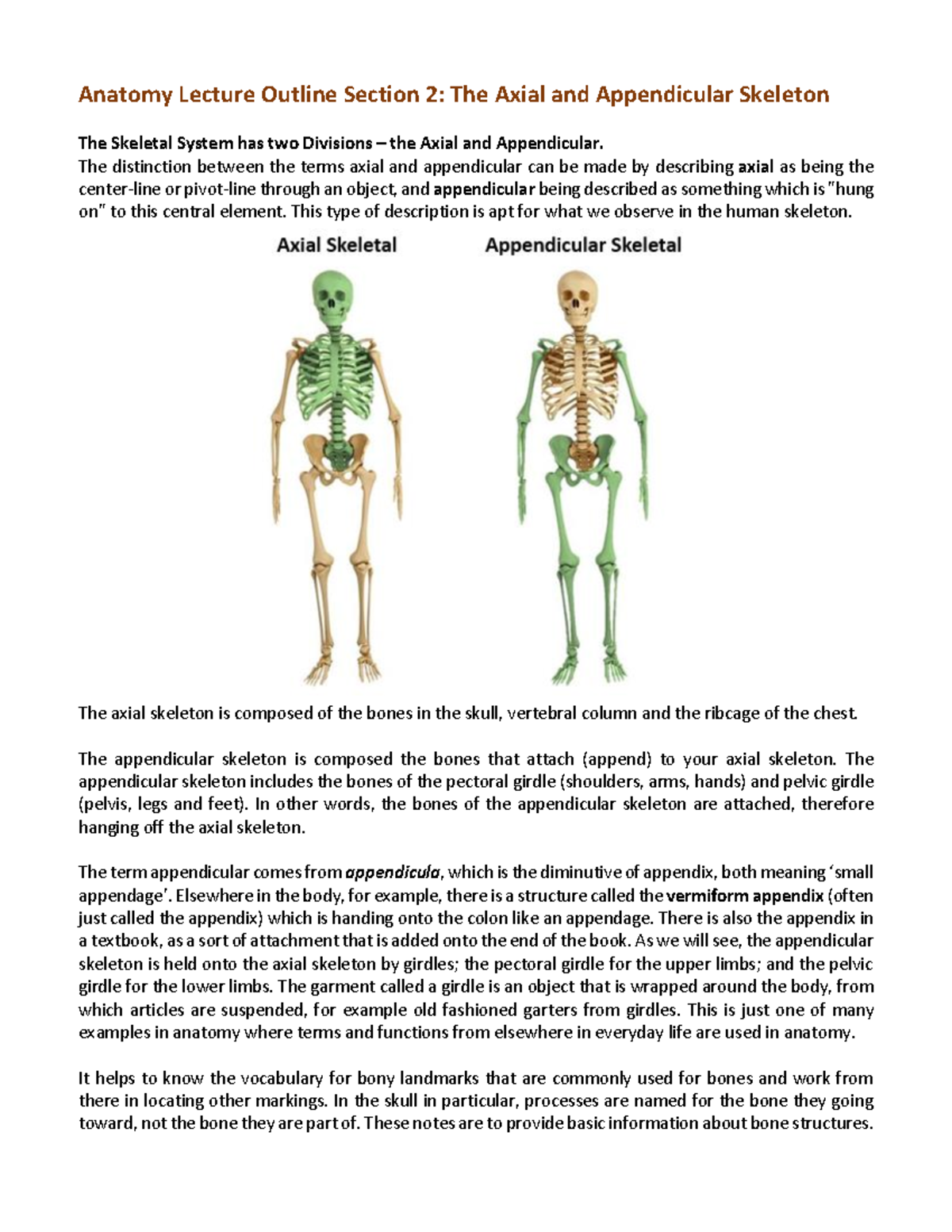 #5 Anatomy Lecture Notes: Axial and Appendicular Skeleton Overview ...