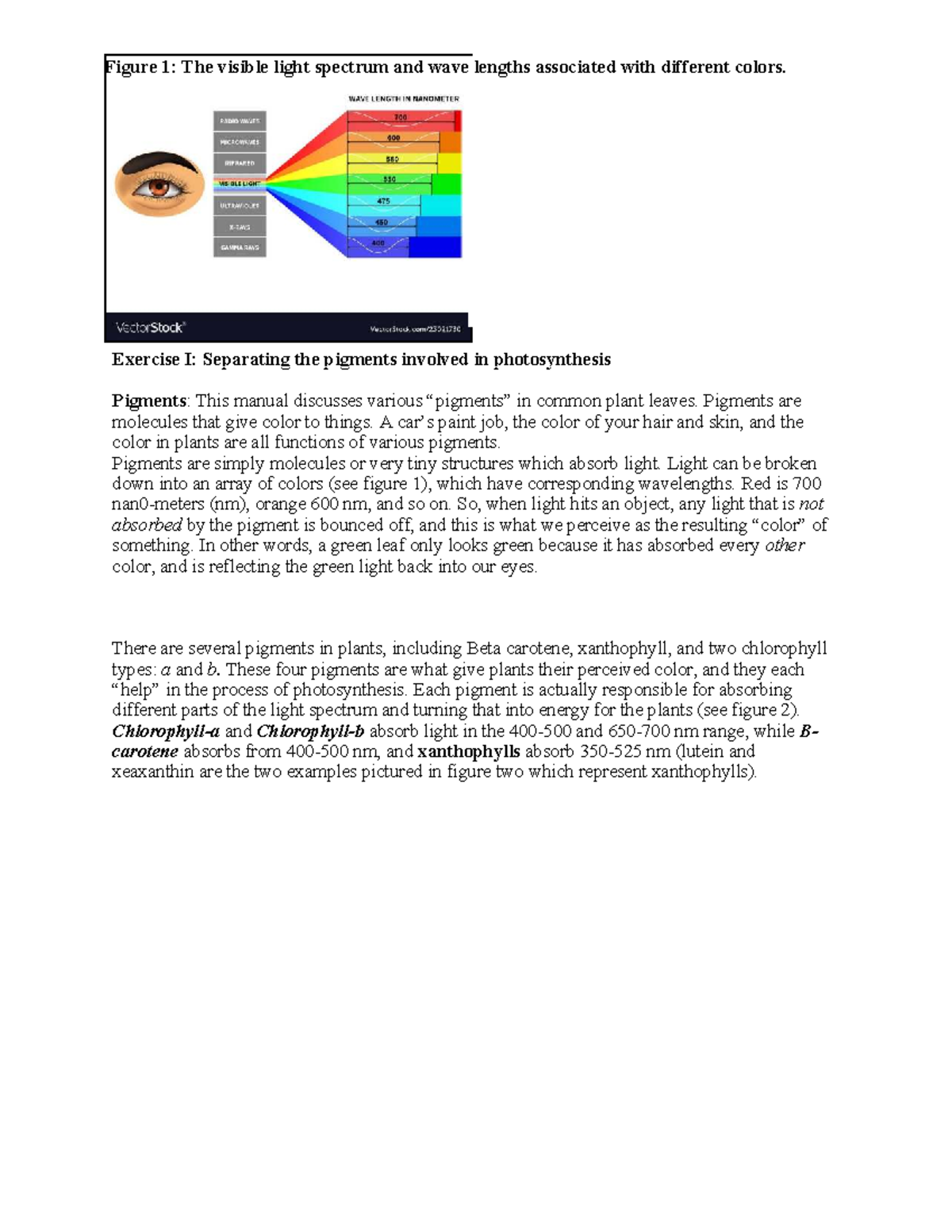Bio 003 - Photosynthesis Pigments and Oxygen Production Analysis - Studocu