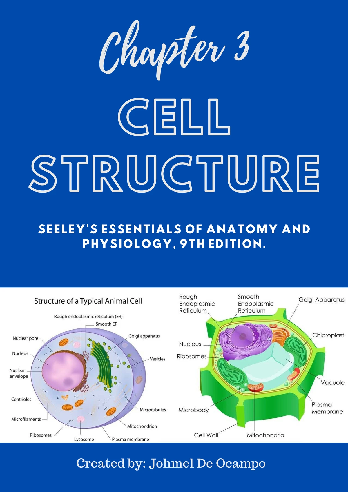 Anatomy & Physiology (Chapter 2): Chemical Basis of Life Overview - Studocu
