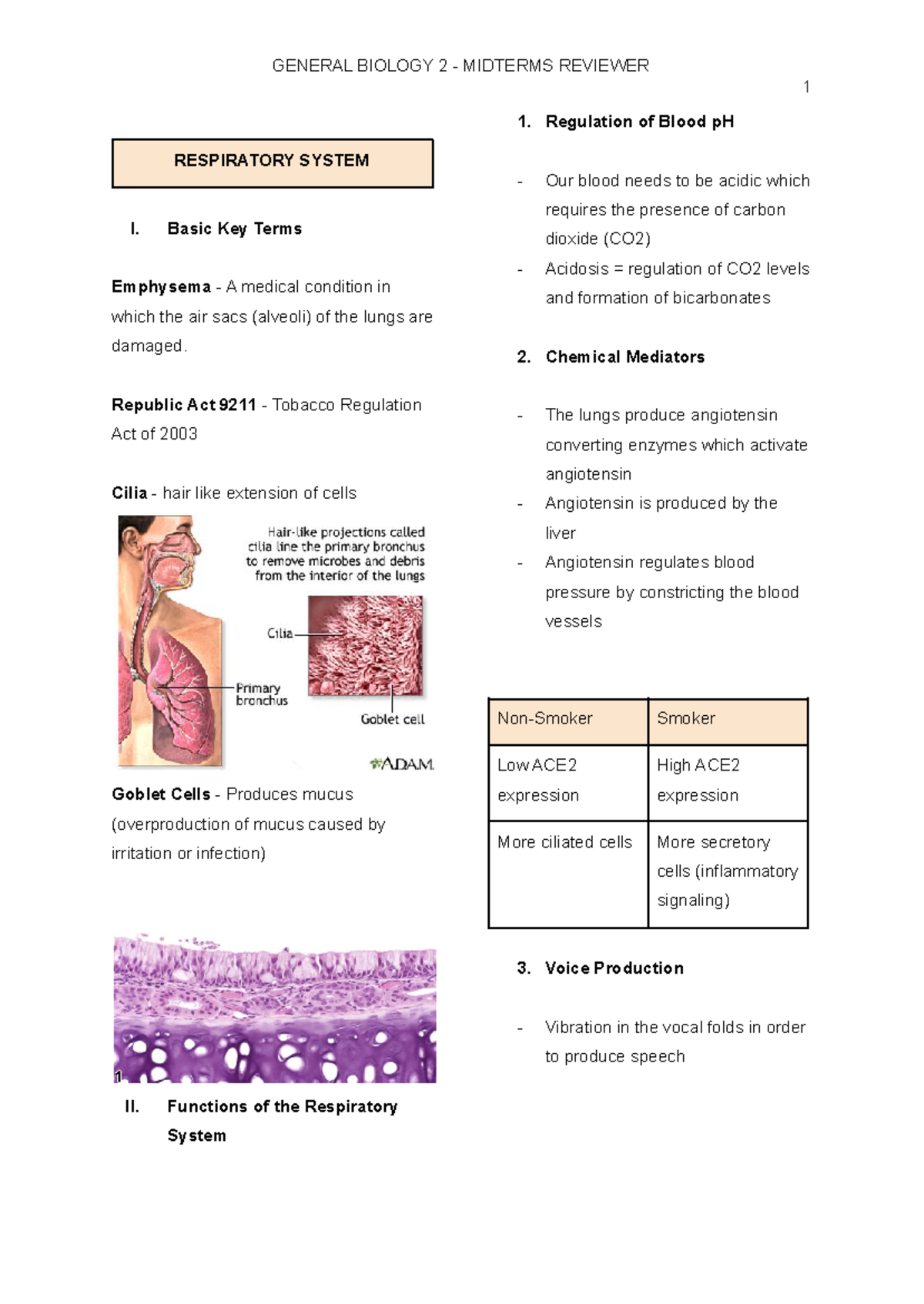 GENERAL BIOLOGY 2 MIDTERMS REVIEWER: KEY CONCEPTS & QUIZZES - Studocu