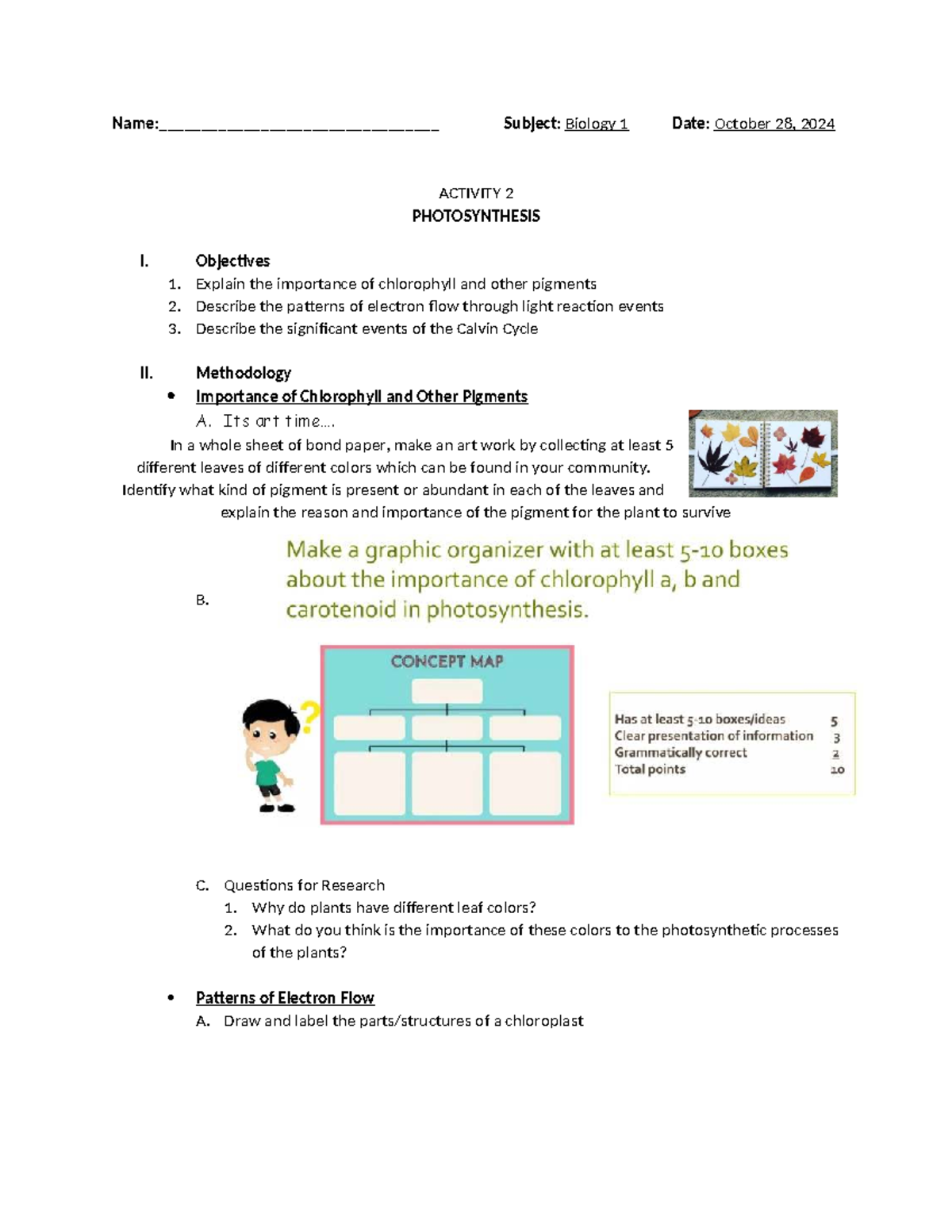 Biology 1 Activity 2: Exploring Photosynthesis and Chlorophyll - Studocu