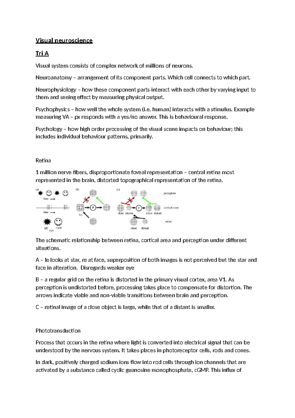 Visual Neuroscience: Understanding the Complexities of the Visual ...