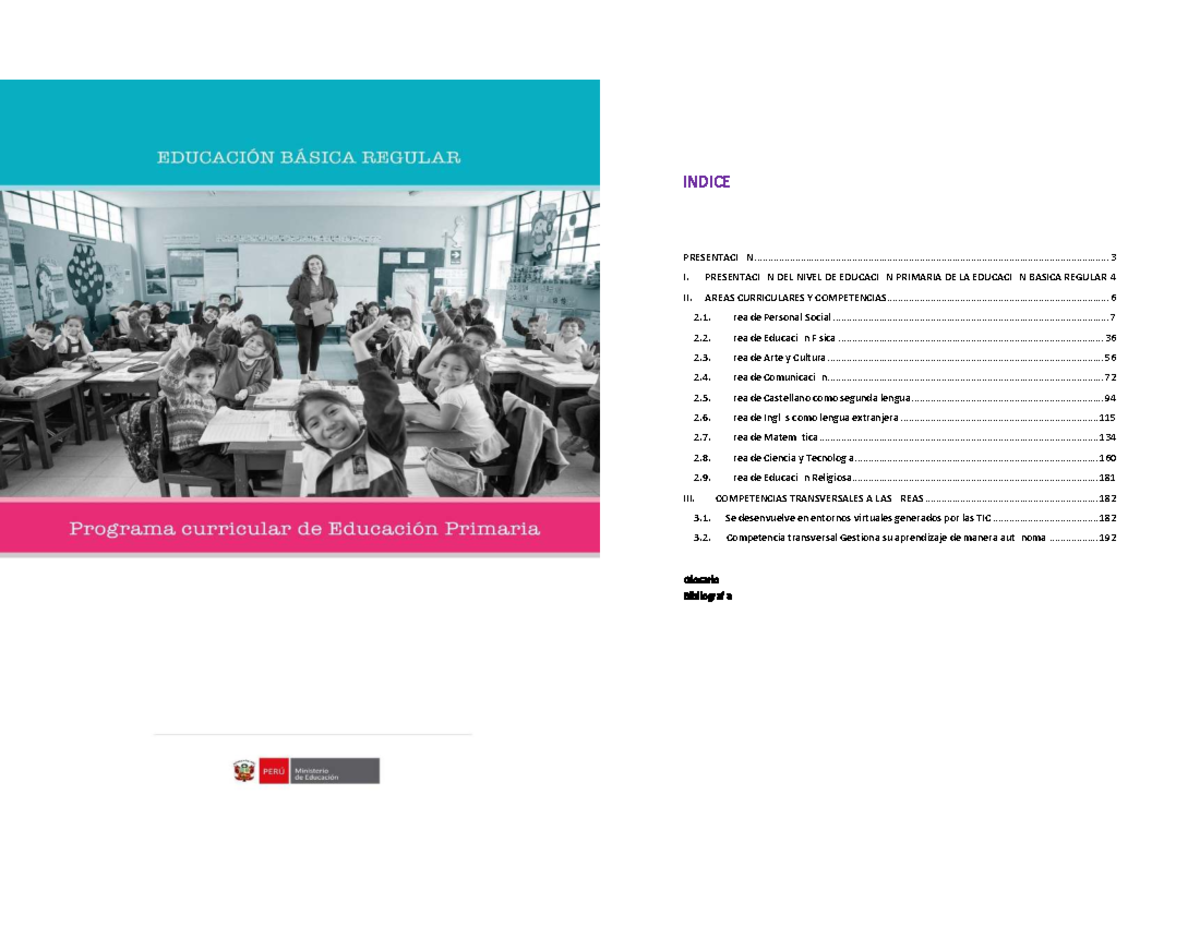 Programa de Educación Primaria EBR: Competencias y Áreas Curriculares - Studocu