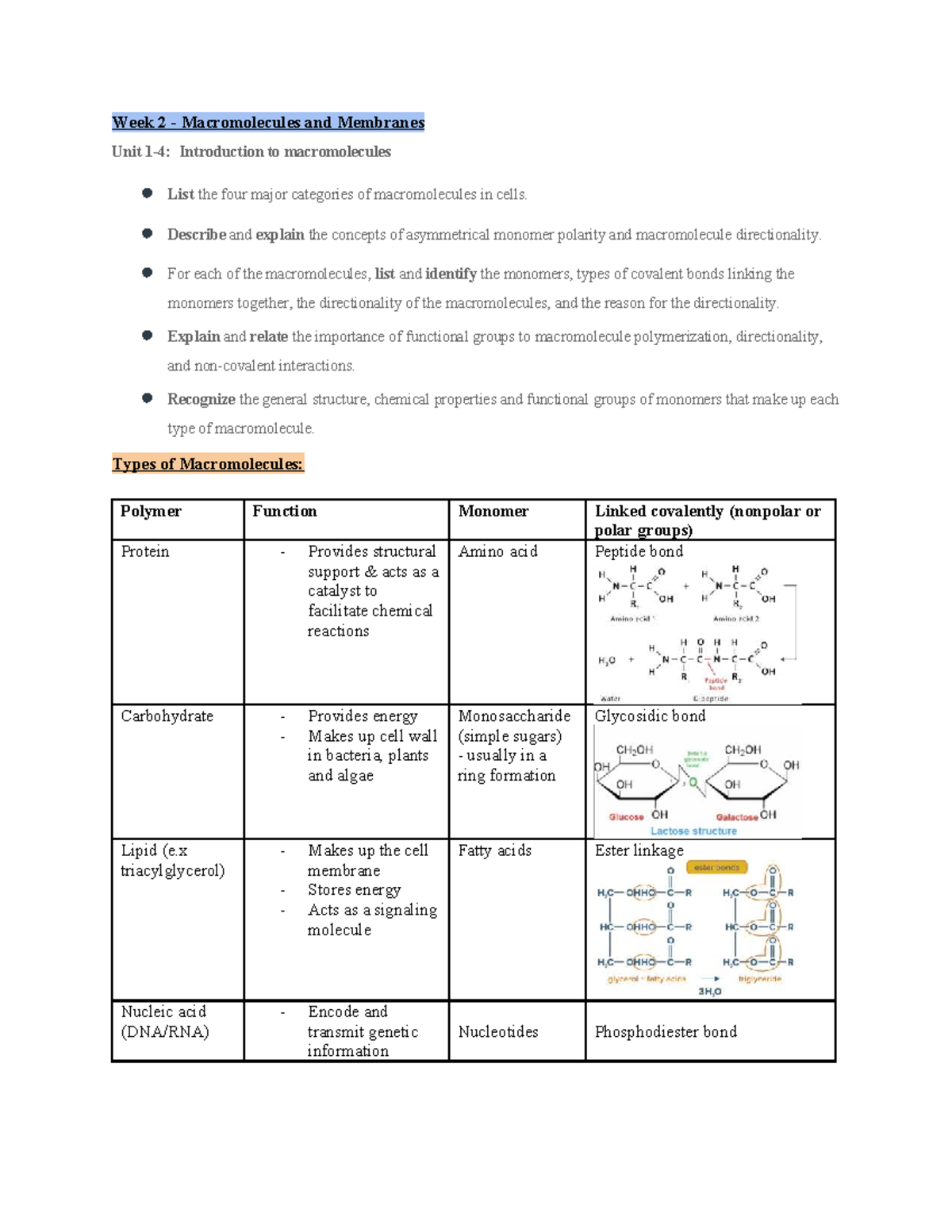 Week 2 - Intro to Macromolecules & Membranes (Biology 101) - Studocu