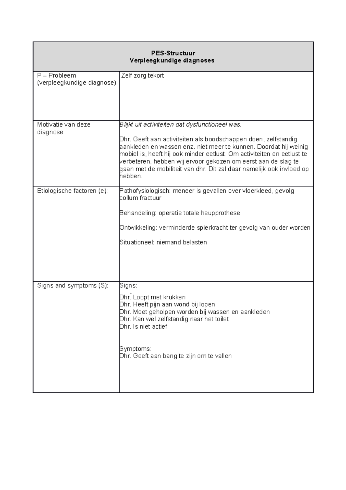 PES-Structuur: Verpleegkundige Diagnoses en Behandelingen - Studeersnel