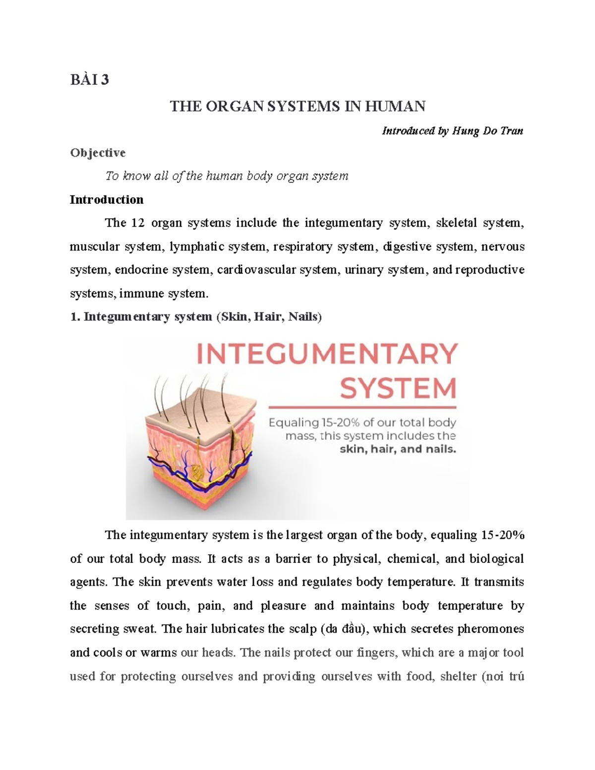 3. Organ Systems of the Human Body: A Comprehensive Overview - Studocu