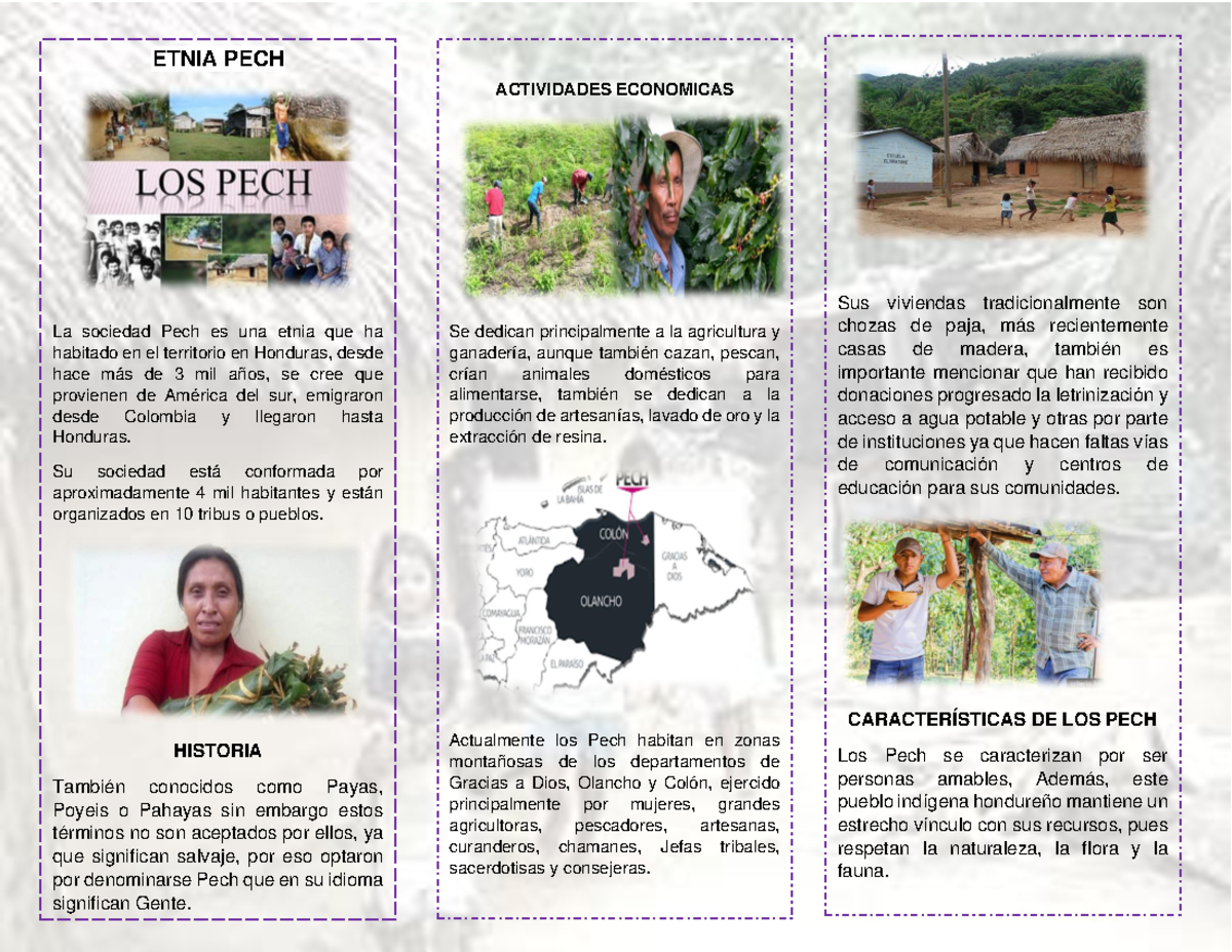 ETNIA PECH: Historia, Características y Actividades Económicas - Studocu