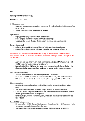 The Peace Model - The PEACE Model The PEACE model of interviewing is ...