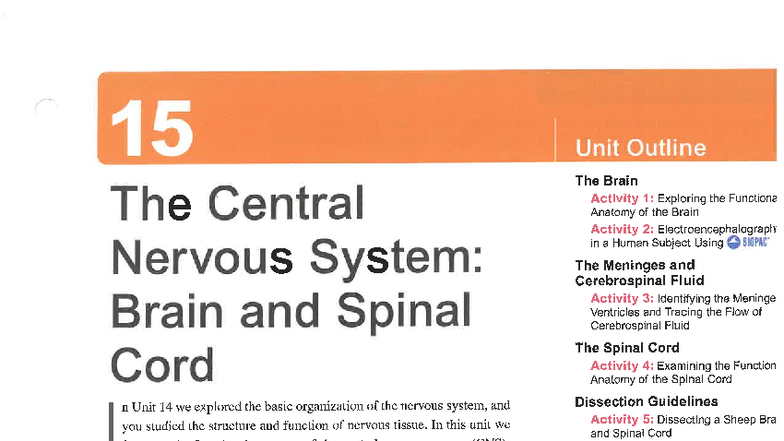 Lab Unit 15 - The CNS: Comprehensive Notes for A&P Lab - Studocu