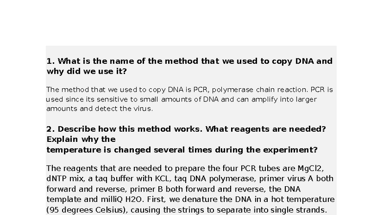 B5 - PCR Lab Report: Methodology, Analysis, and Results - Studocu