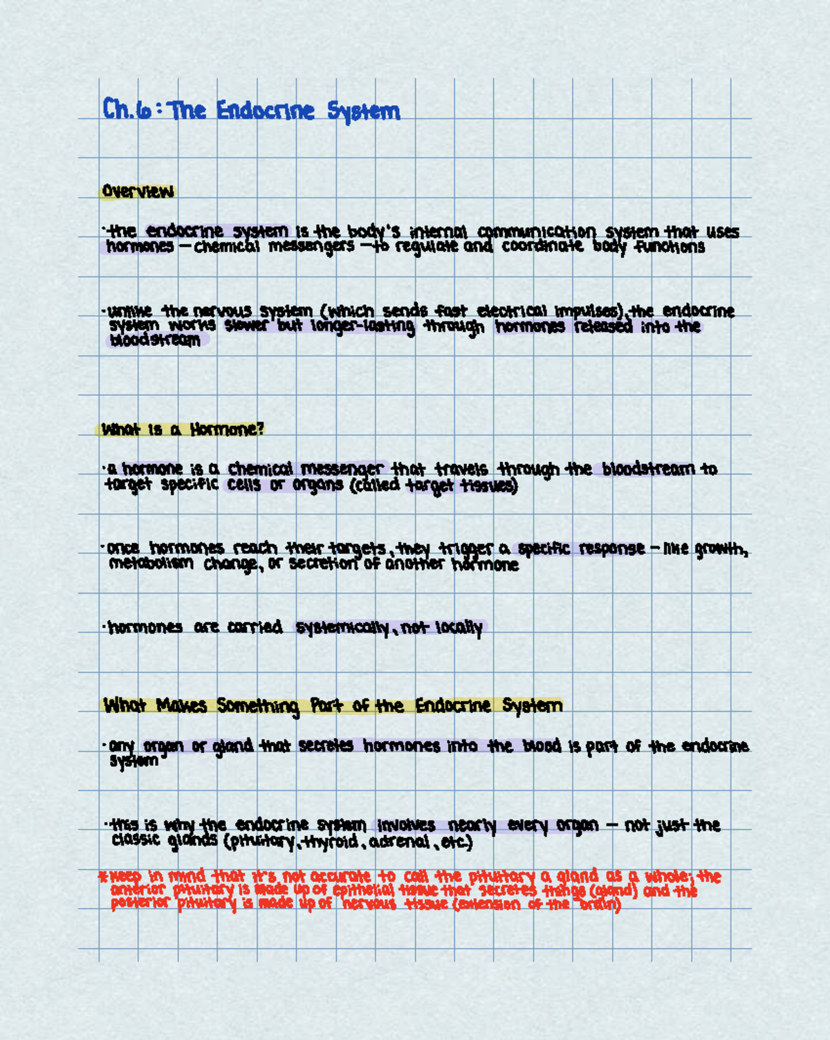 Endocrine System Overview: Functions, Hormones, & Feedback Loops (Ch G ...