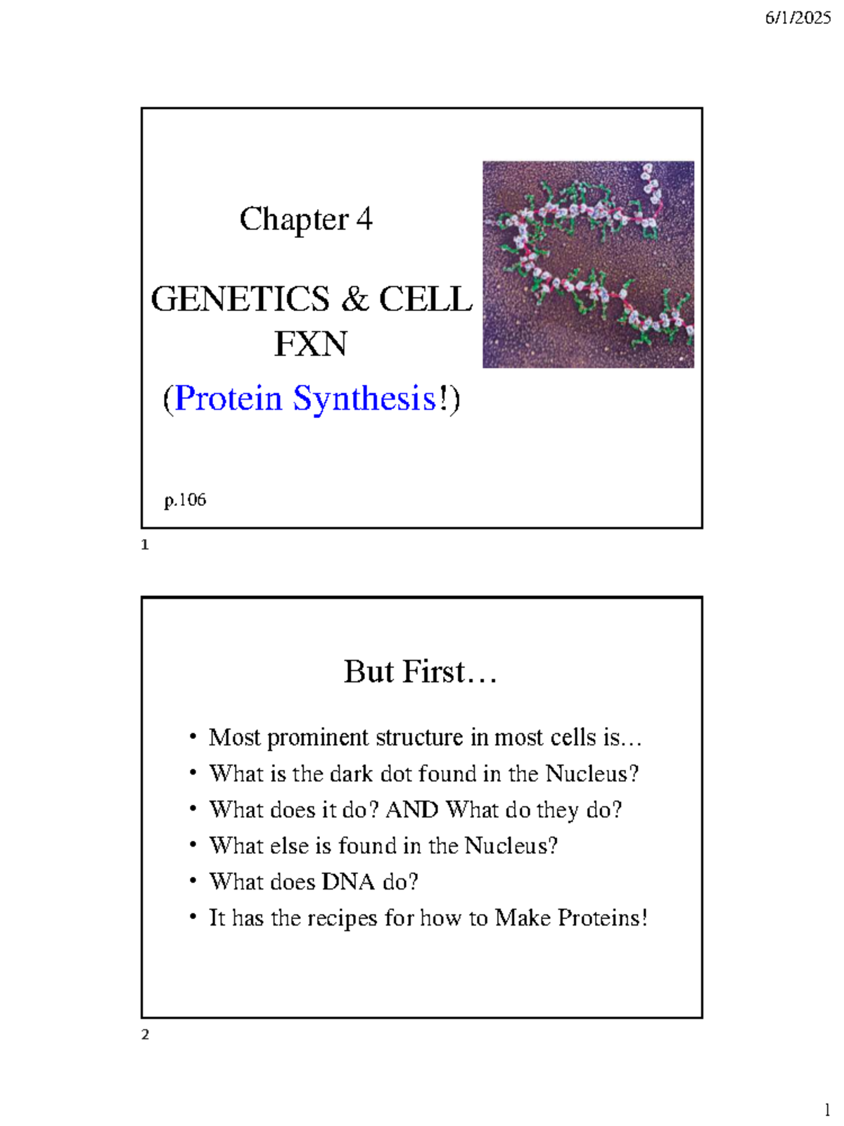 Genetics & Cell Function (BIO 101): Insights on Protein Synthesis - Studocu