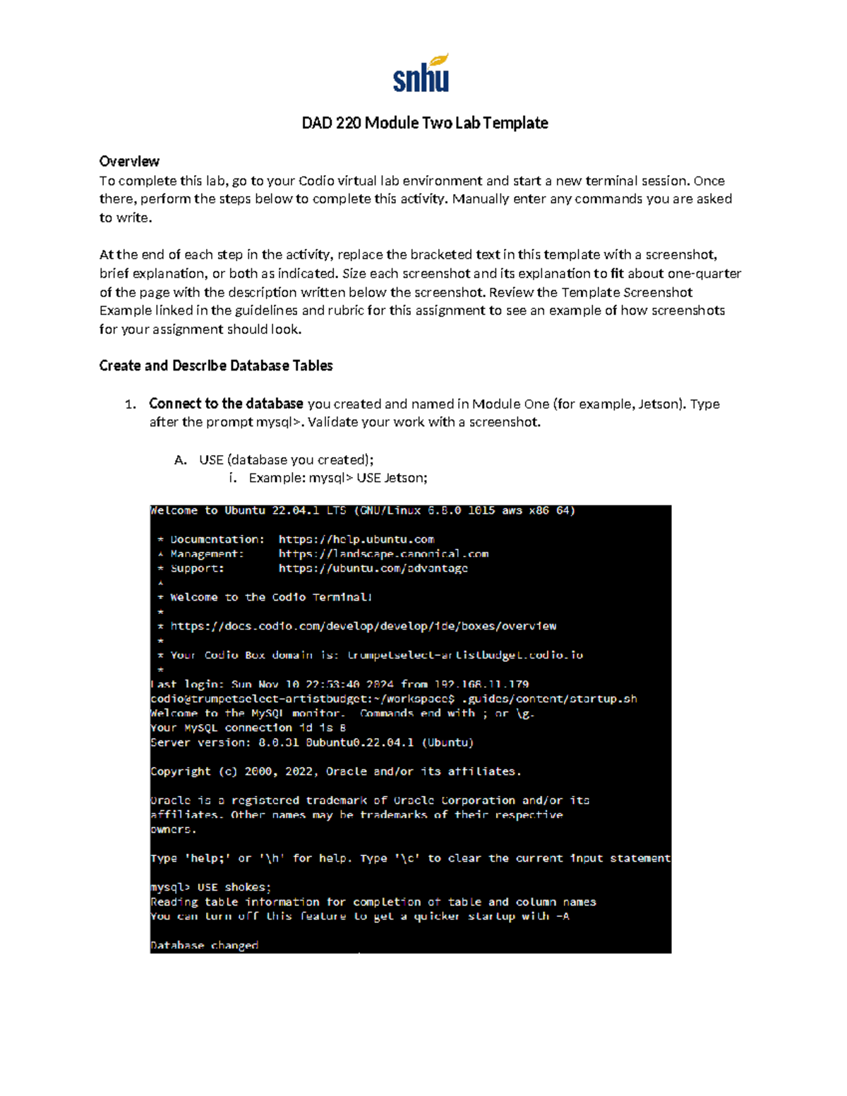 DAD 220 Module Two Lab: Database Tables Creation & Queries Guide - Studocu