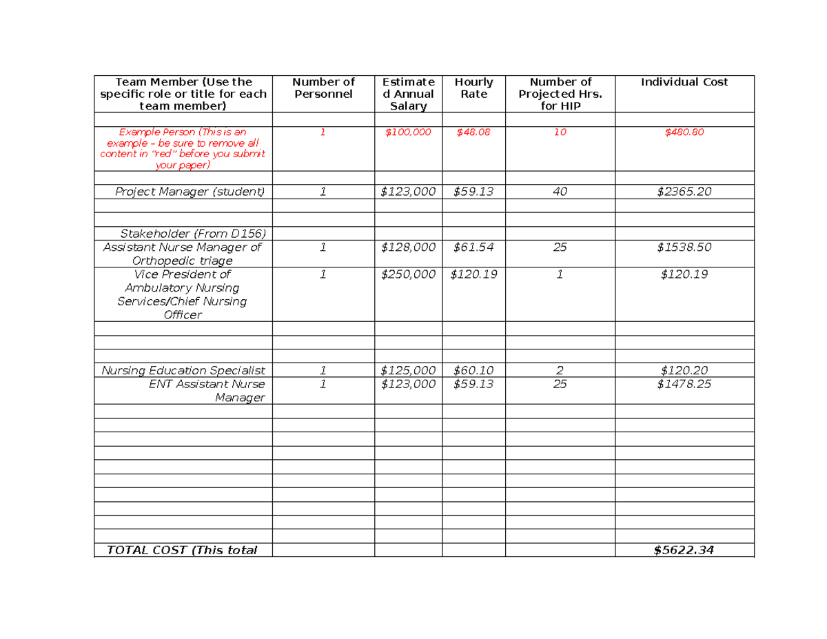 Personnel Cost Table - Team Member (Use the specific role or title for ...