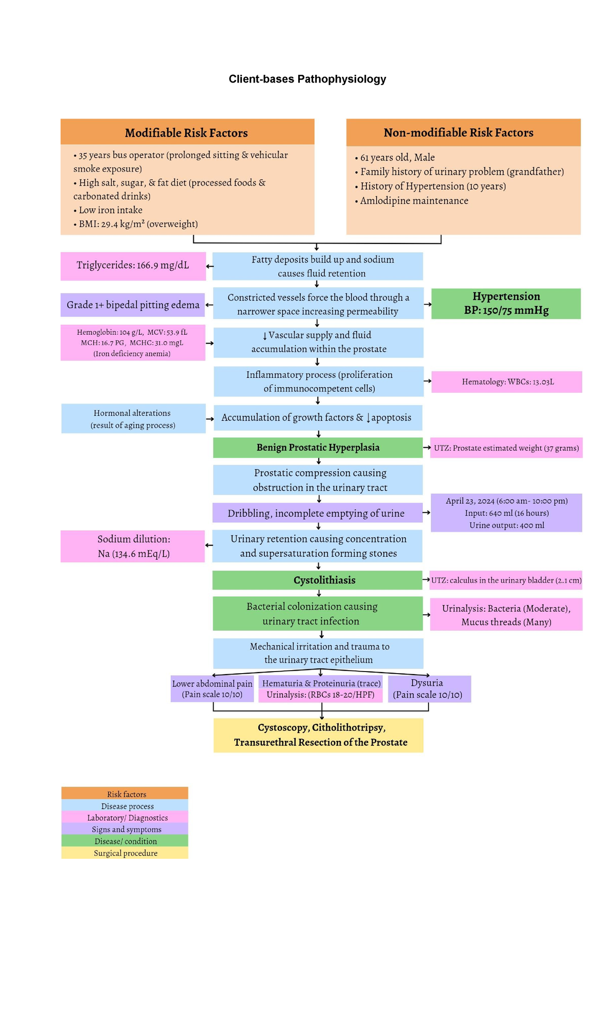 Pathophysiology - Studocu