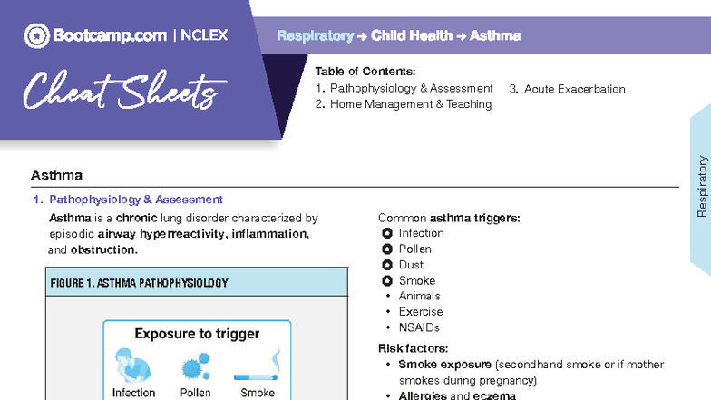 Asthma Management Cheat Sheet: Acute Exacerbation Overview - Studocu