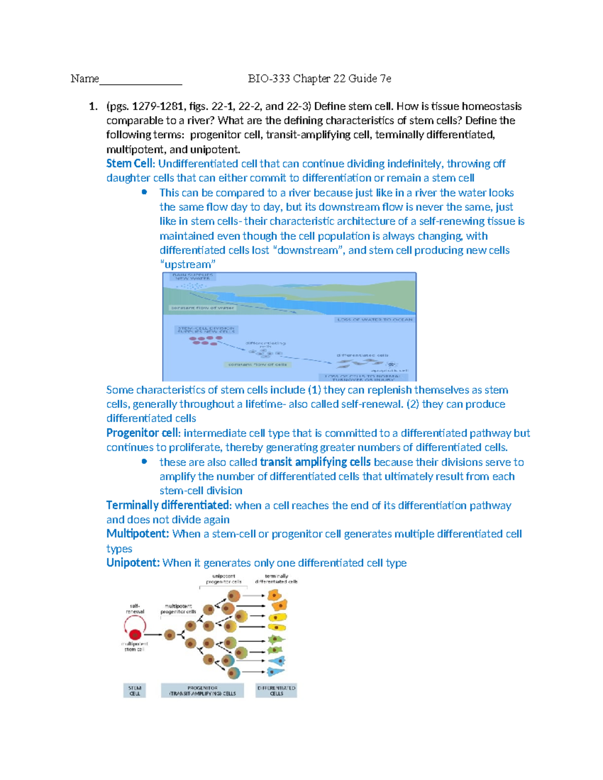 BIO-333 Chapter 22 Study Guide: Stem Cells & Tissue Renewal Insights ...