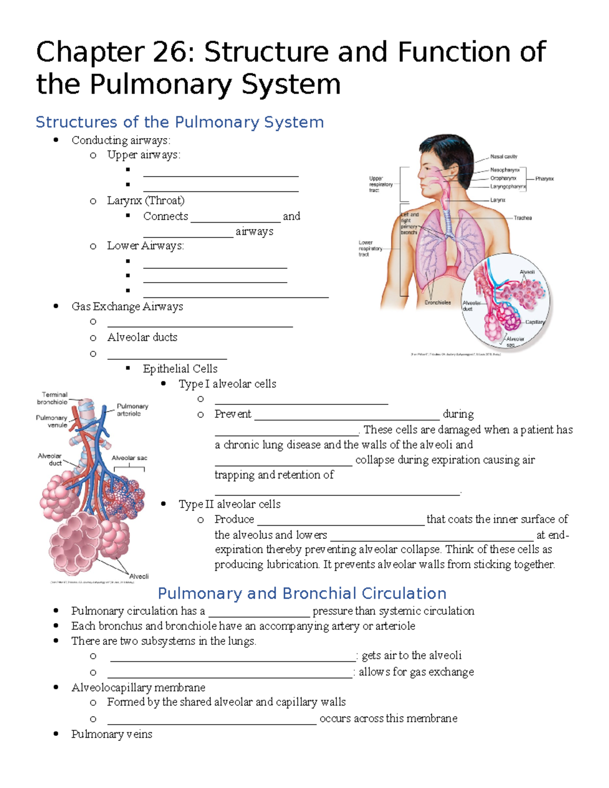 Chapter 26 Study Notes - Structure & Function of the Pulmonary System ...