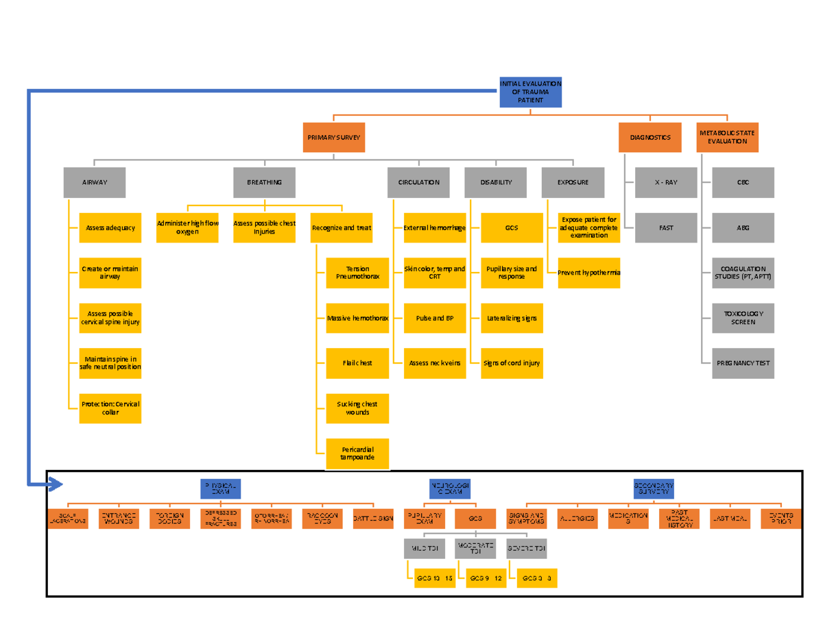 TBI Algorithm - PHYSICAL EXAM LACERATIONS SCALP ENTRANCE WOUNDS FOREIGN ...