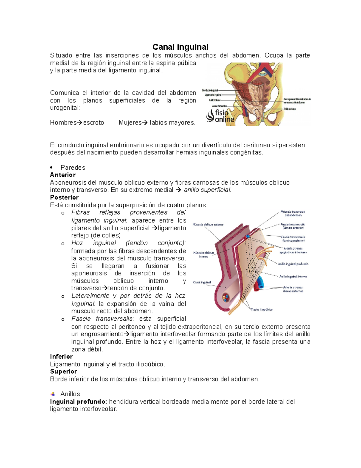 Límites Del Canal Inguinal