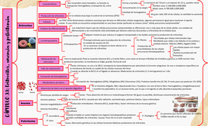 Cap 10 guyton - resumen del capitulo 10 - CAPÍTULO 10 Excitación rítmica del corazón El corazón ...