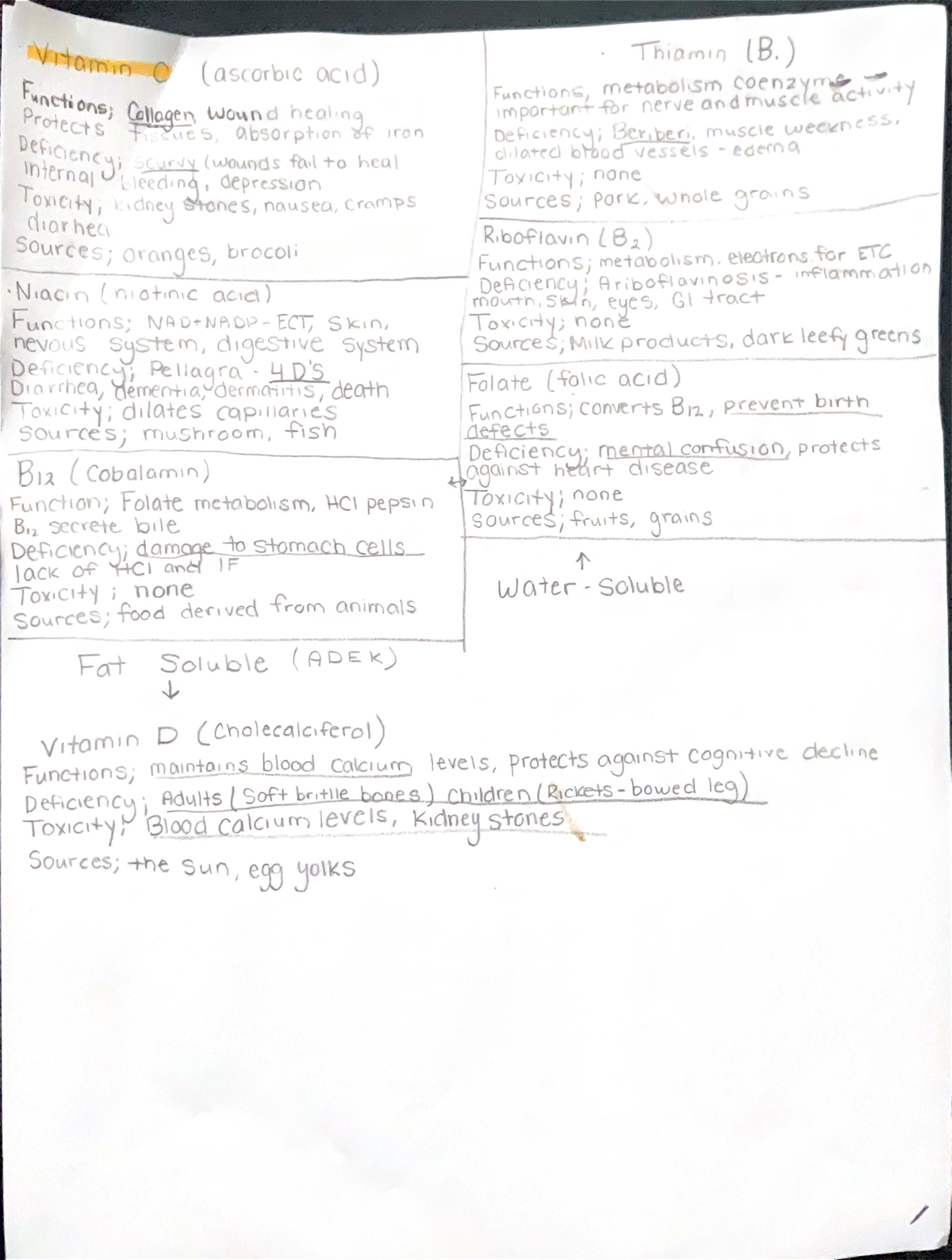 Nutritional Functions of Vitamins: A Comprehensive Overview - Studocu