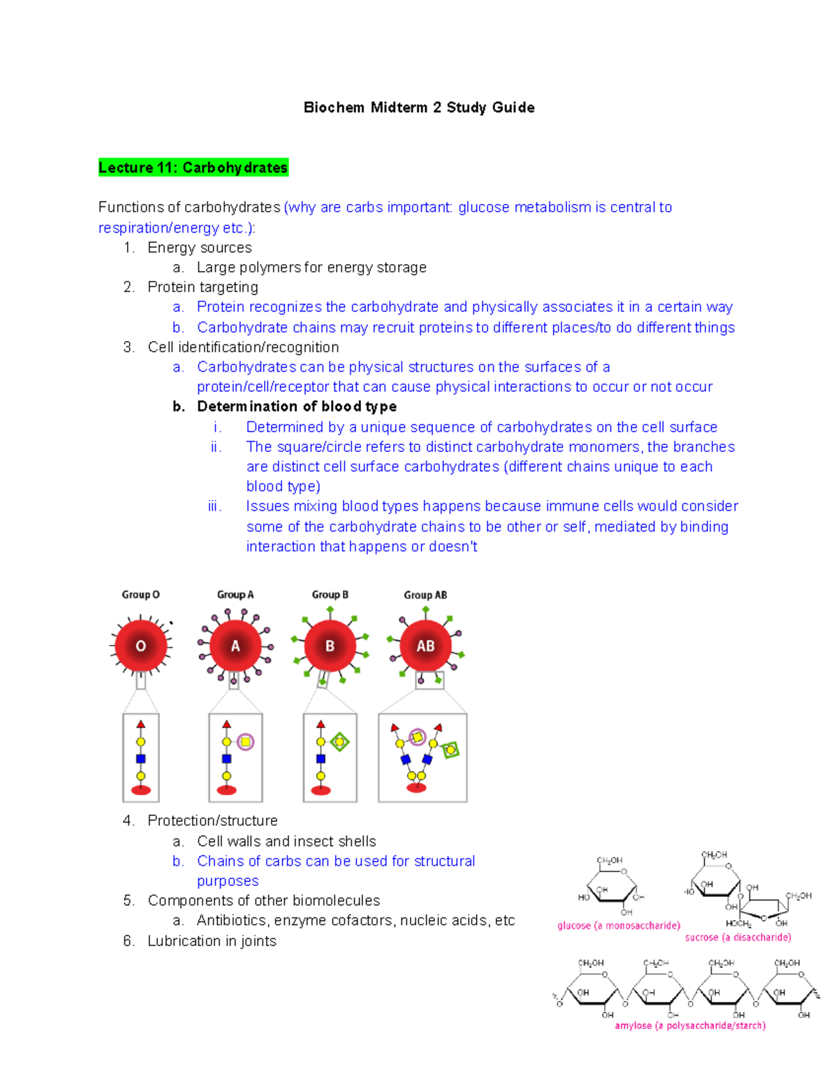 Biochem Midterm 2 Study Guide: Carbohydrates and Lipids - Biochem ...