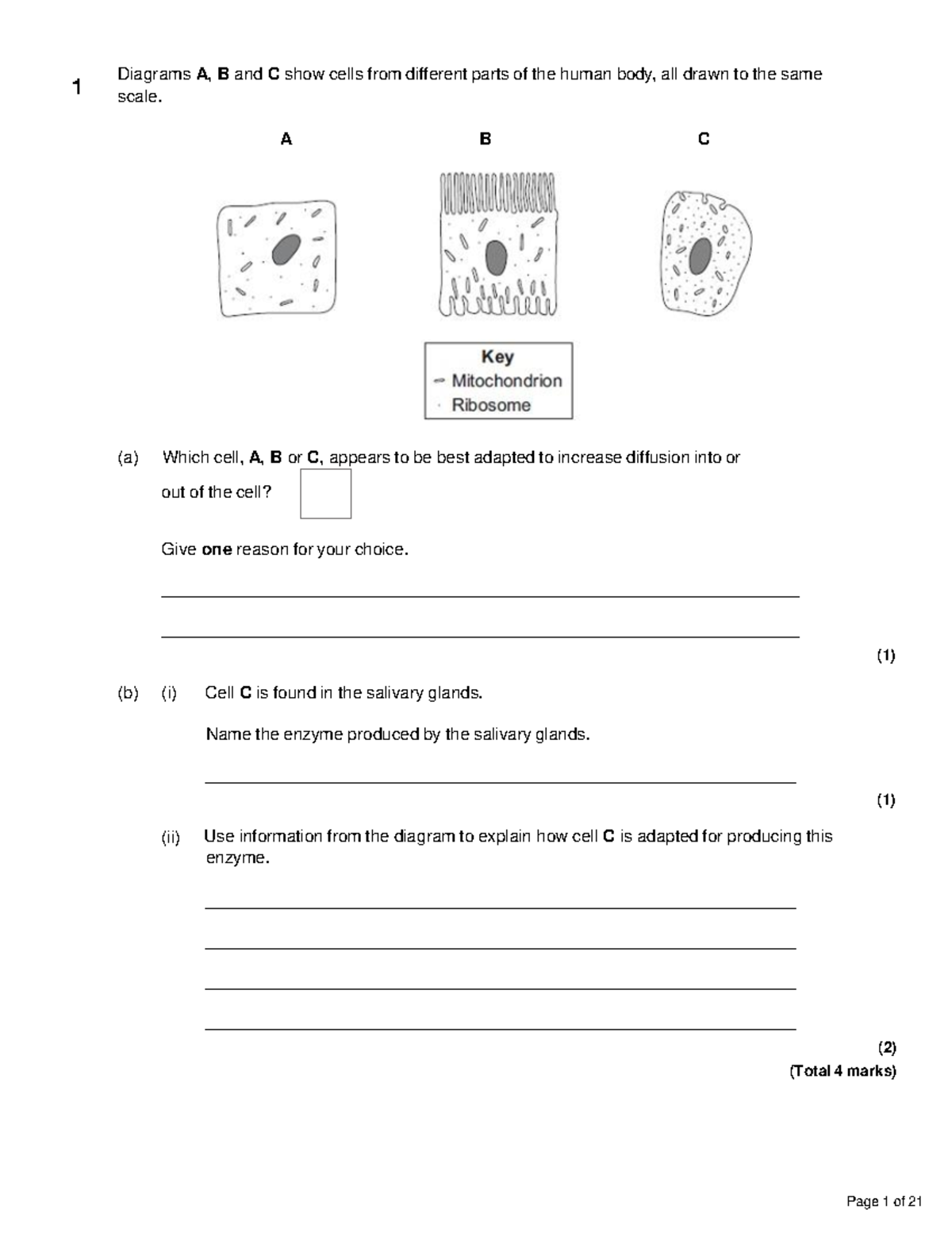 Cell Biology Set 1 - Grades 7-9 Exam Preparation Guide - Studocu