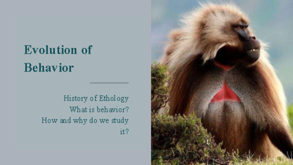 ANT 09:29-10:04 - Lecture - Evolution of Behavior ####### History of ...