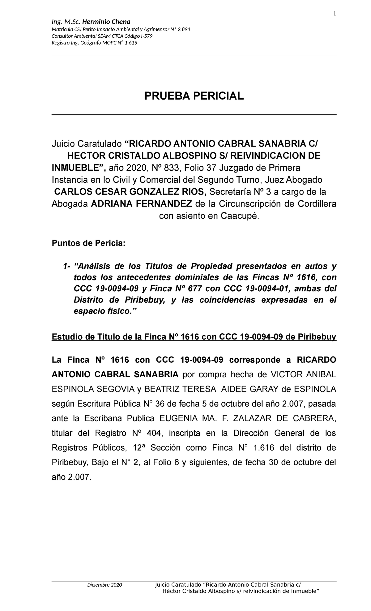 Peritaje Ambiental y Agrimensor CSJ 2020: Caso Cabral vs. Cristaldo ...