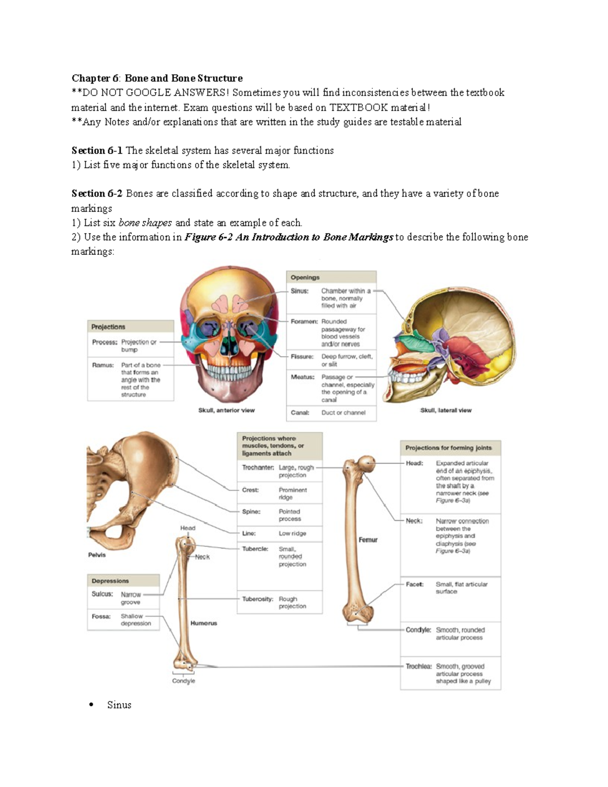 Chapter 6: Bone Structure and Physiology Study Guide (BIO 101) - Studocu