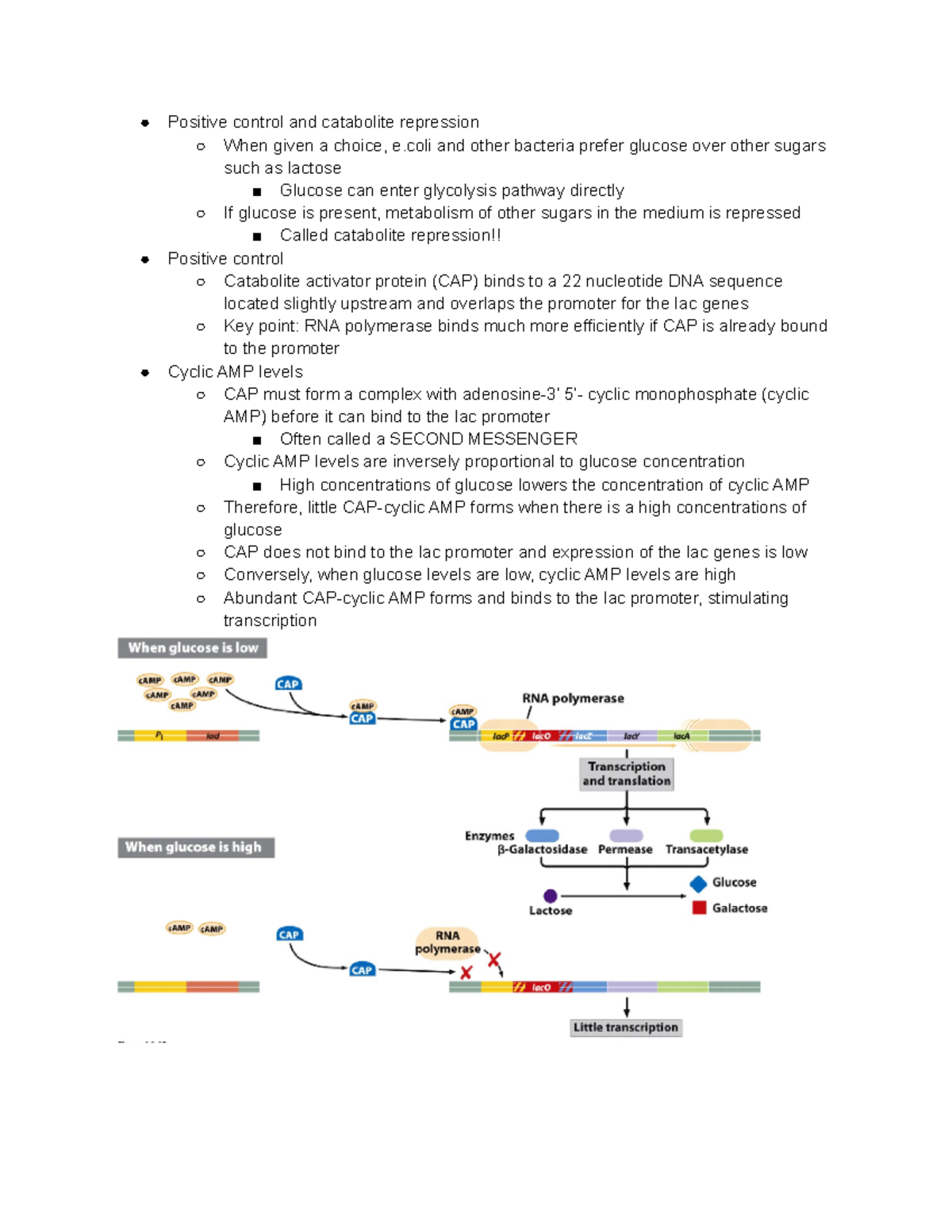 Genetics Chapter 16 Part 8 - Deprecated API usage: The SVG back-end is ...
