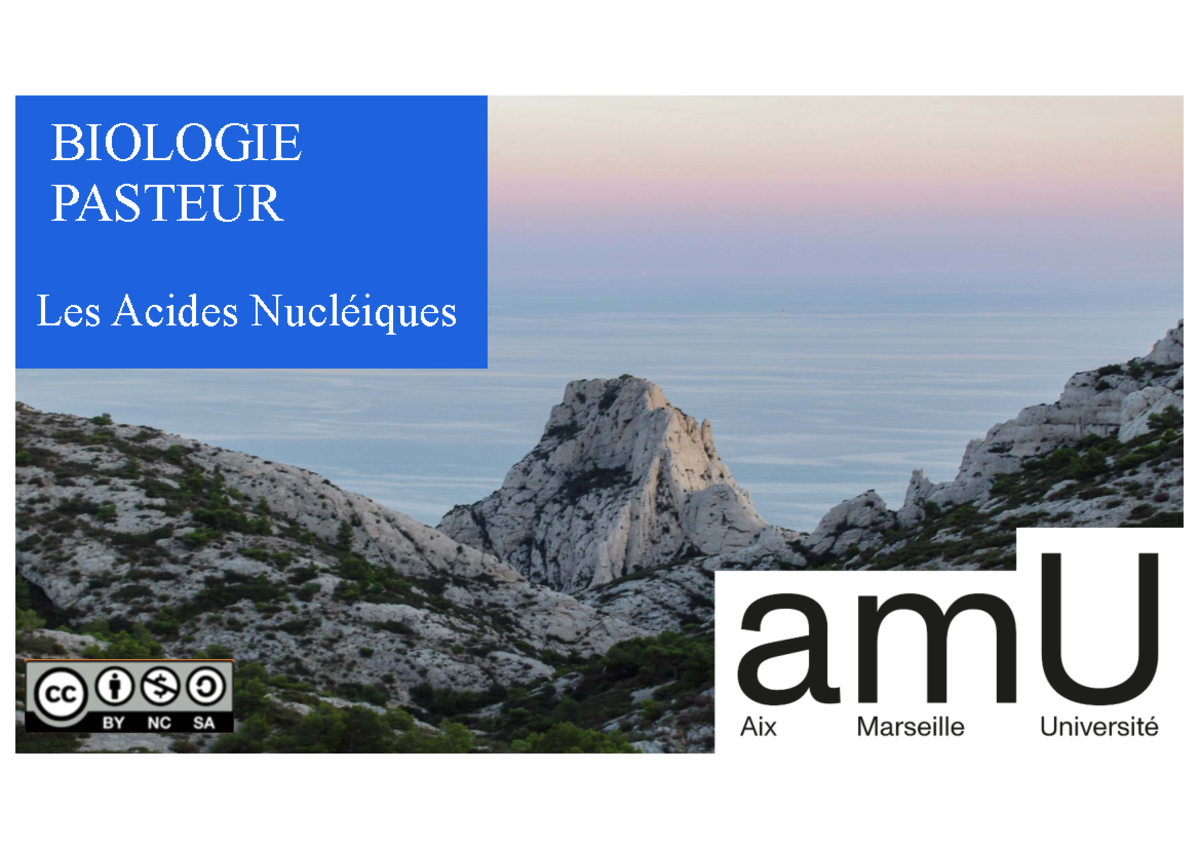 BIOCHIMIE CM AN 2025 2 - Les Acides Nucléiques et leur Structure - Studocu