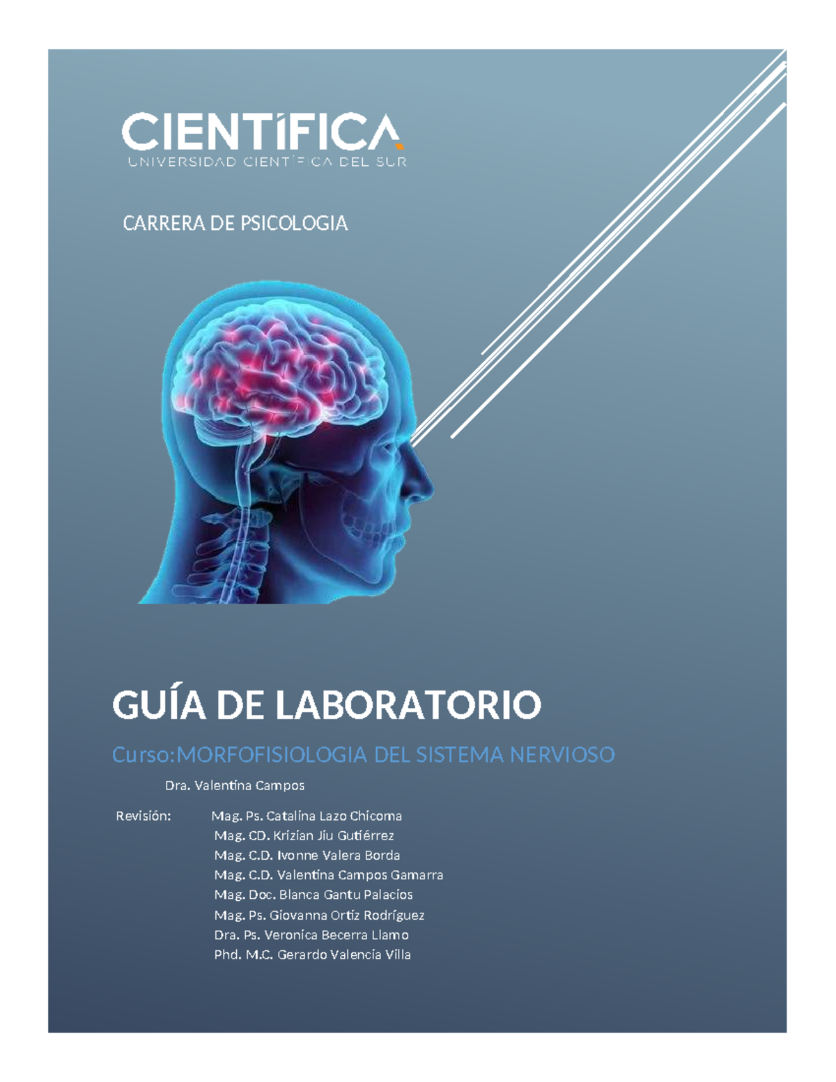 Guía de Práctica: Morfofisiología del Sistema Nervioso (Curso: UCSUR 2024-2) - Studocu